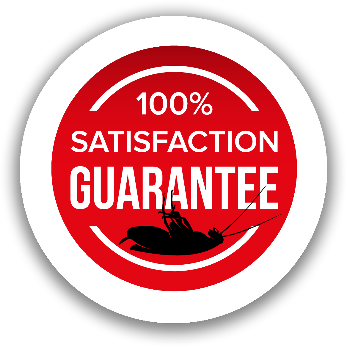 Possum Removal – Zero Bugs Termite & Pest Control